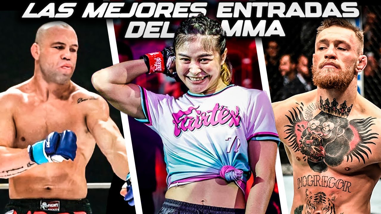 LAS MEJORES ENTRADAS DEL MMA - YouTube