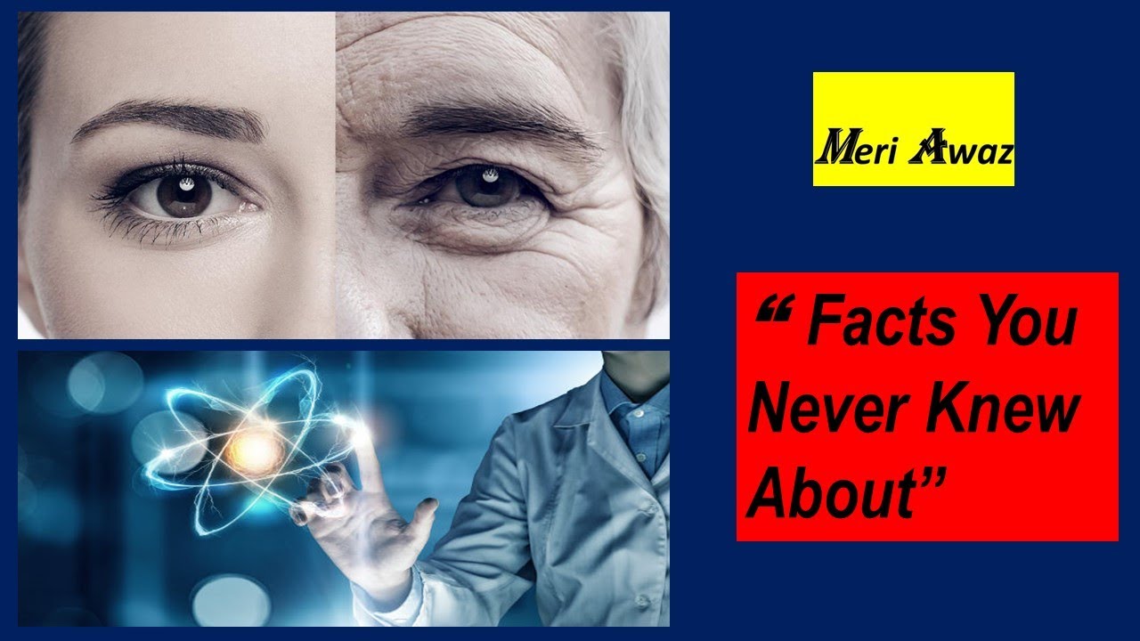 Scientific Facts About Human Body Enigmatic Facts About Human scientific-facts-about-human-body-enigmatic-facts-about-human