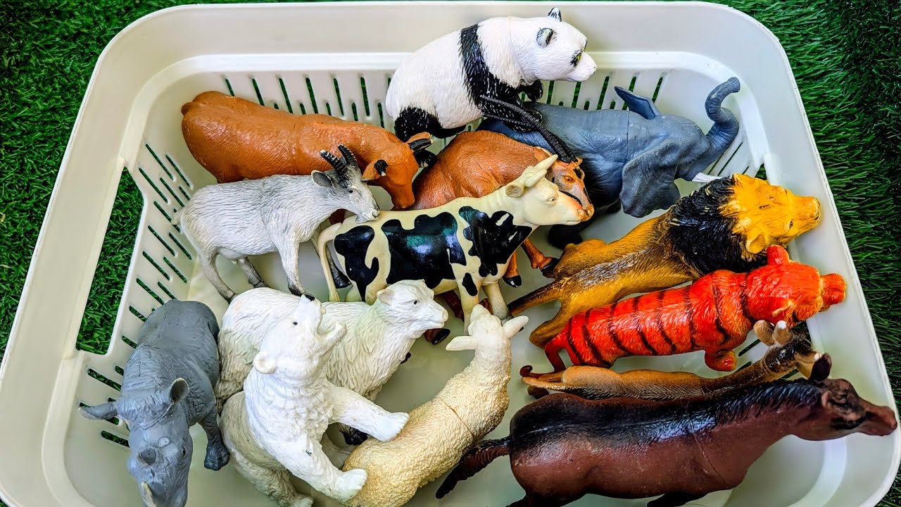 Farm & Jungle Animal World | Exciting Learning Journey for Curious Kids ...