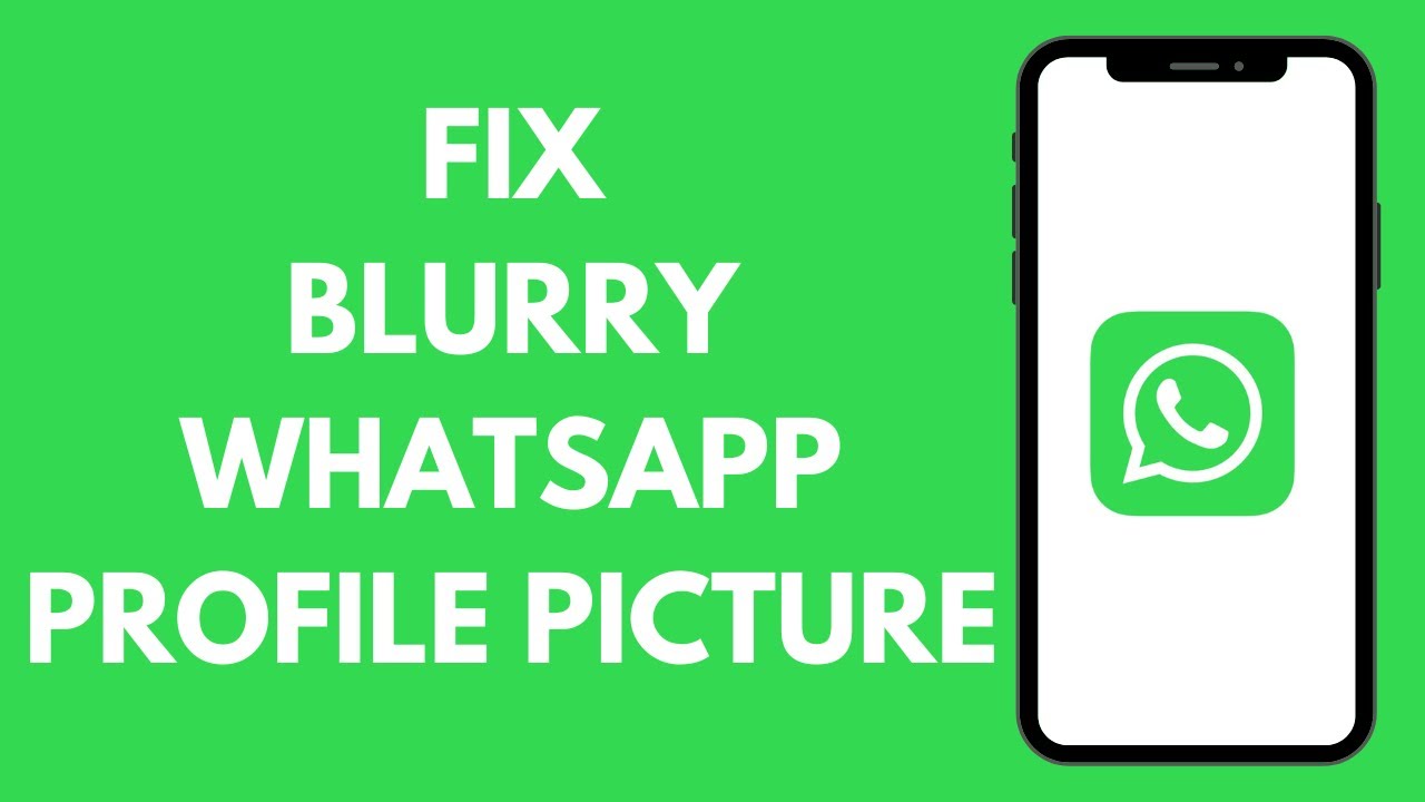 How to FIX Blurry WhatsApp Profile Picture 2024 - YouTube