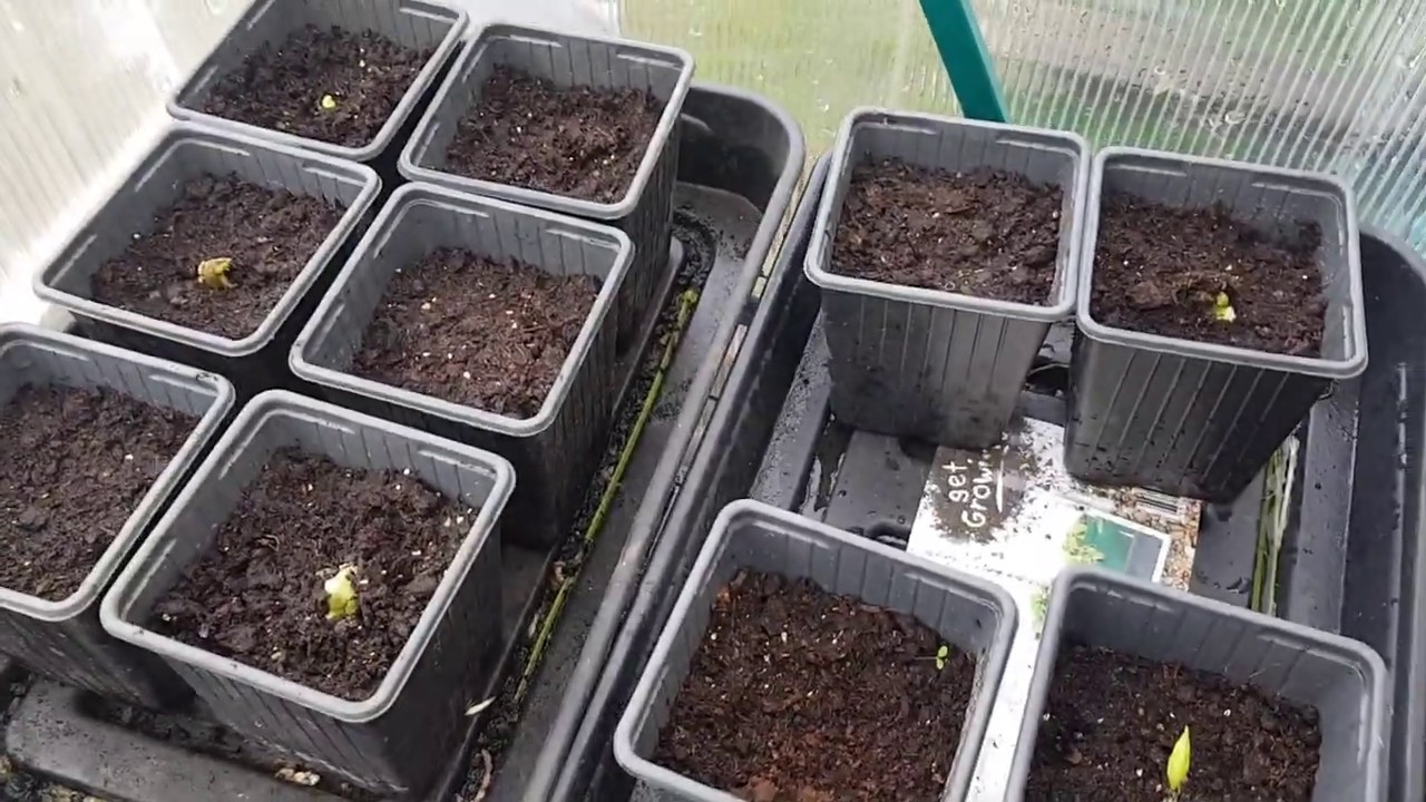 Quick tour - YouTube