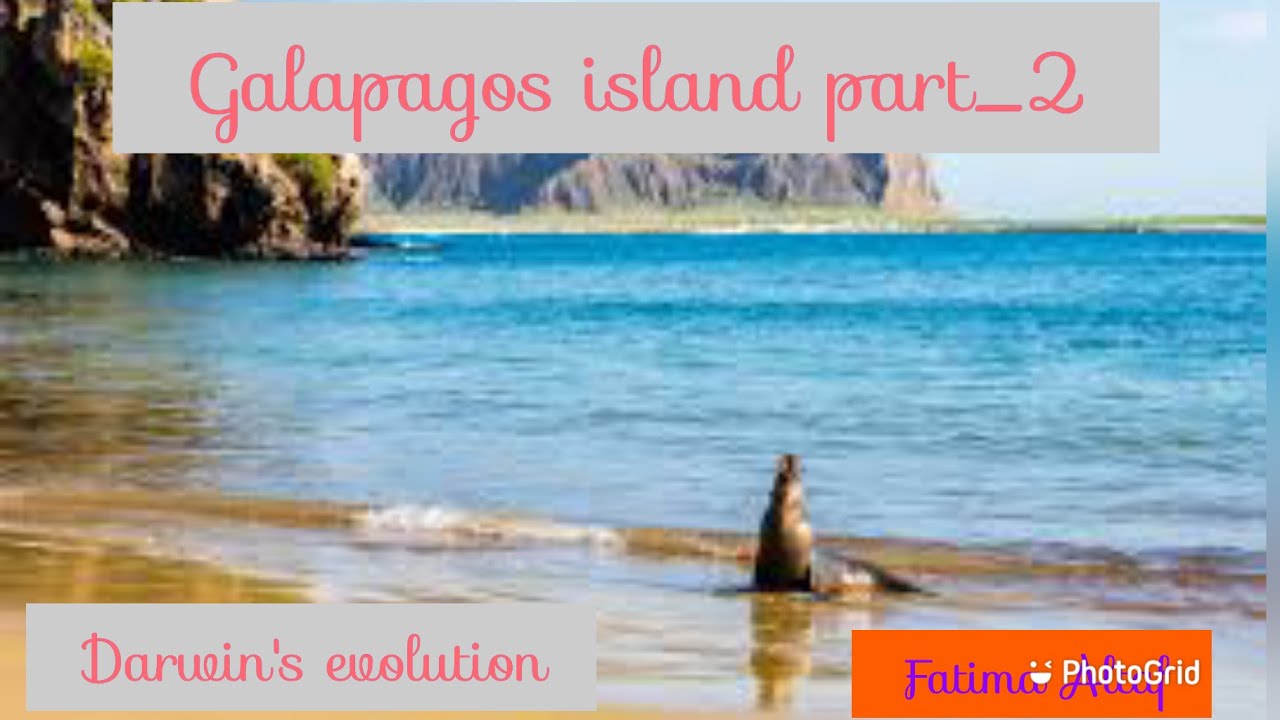 Galapagos island part_2(Darwin's evolution) - YouTube