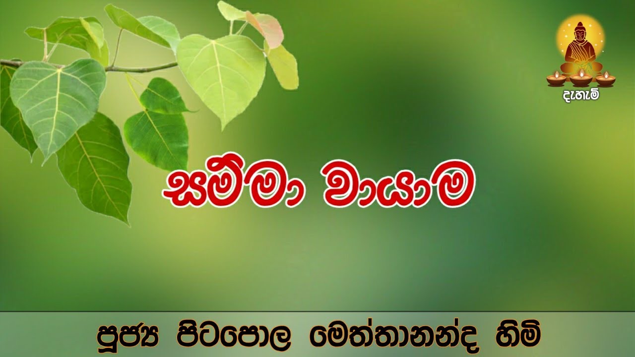 Samma Vayama - සම්මා වායාම | Ven.Pitapola Meththananda Thero - පූජ්‍ය ...