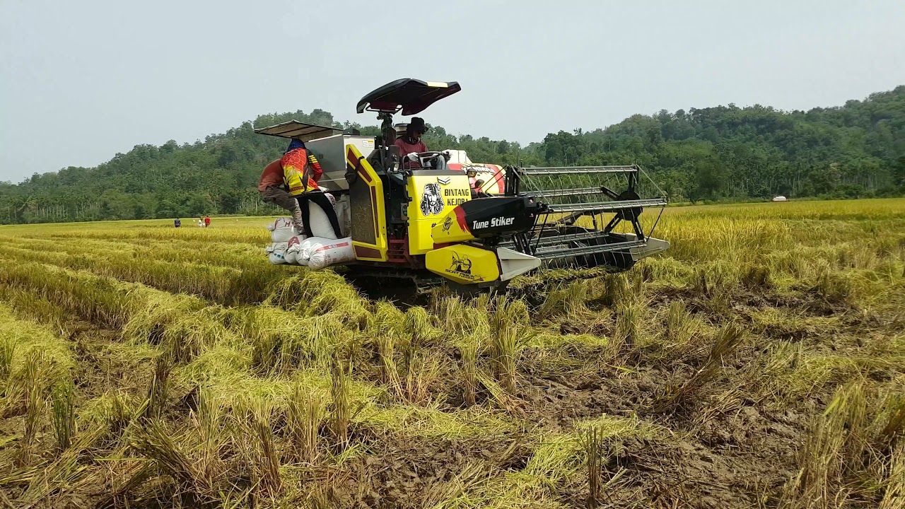 COMBINE YANMAR YH850 TAMPILAN STIKER LUAR BIASA, KERJA DI LAHAN KERING ...