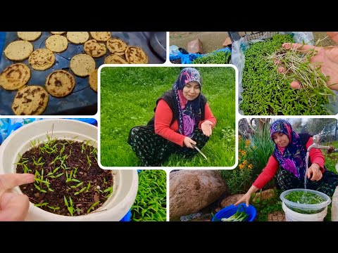 BİR YEMEK İŞTE  ✅ KONYAYA ÖZGÜ  PATATES TARHANA DOMATES FİDAN SERELTME YOLDUM ATTIM ÇEŞİT OT KAVURMA