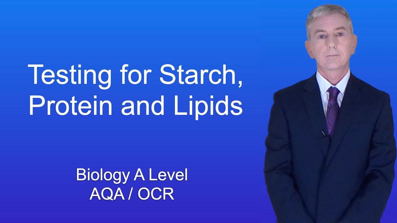 A Level Biology Revision "Testing for Starch, Protein and Lipids" - YouTube