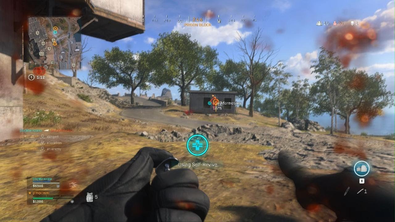 Warzone rebirth win - YouTube