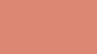 MIDDLE RED SCREEN | 4K Solid Color Background | E58E73