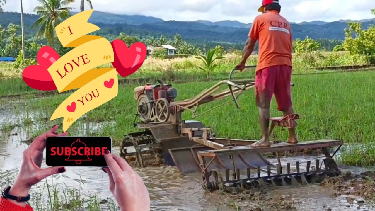 RICE FIELD PREPARATION: FROM HAND TRACTOR TO PLANTING | agt mj marites ...