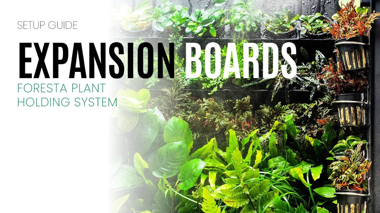 Bonsai 002 – Ultum Nature Systems