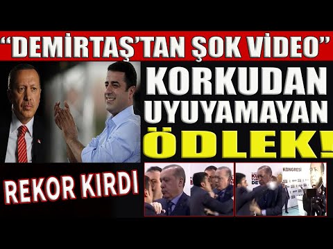 Demirtaş'tan Rekor Kıran Erdoğan Videosu: Korkudan Uyuyamayan Ödlek! #sondakika