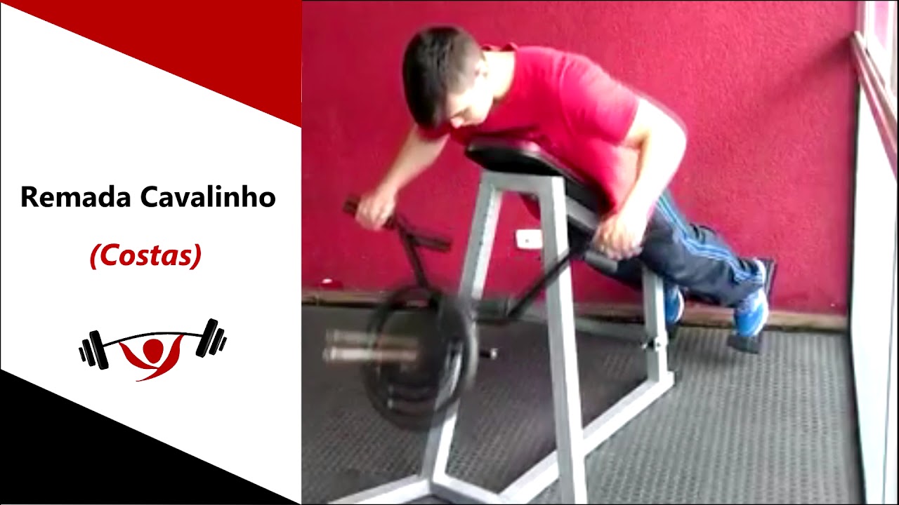 Remada Cavalinho - Costas - YouTube