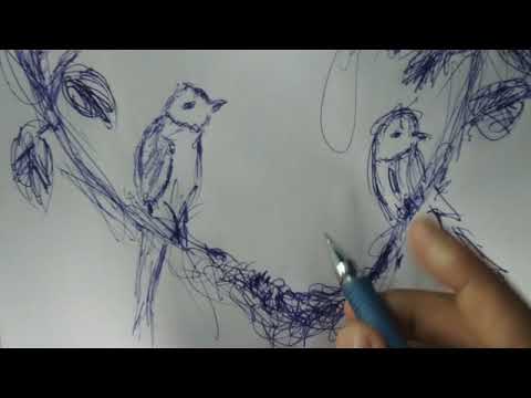 Sugran ( weaver-bird ) - YouTube