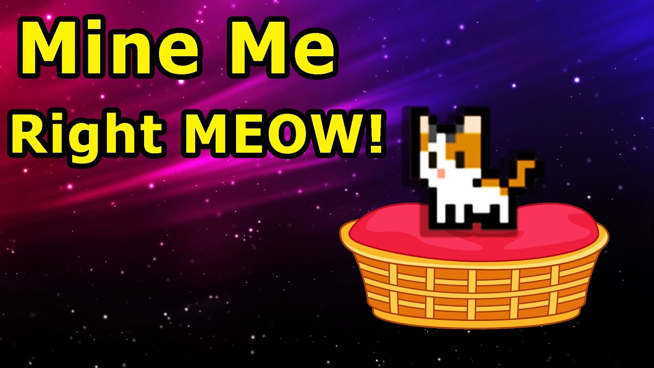 How to mine Meow coin on Hive or WIndows - YouTube