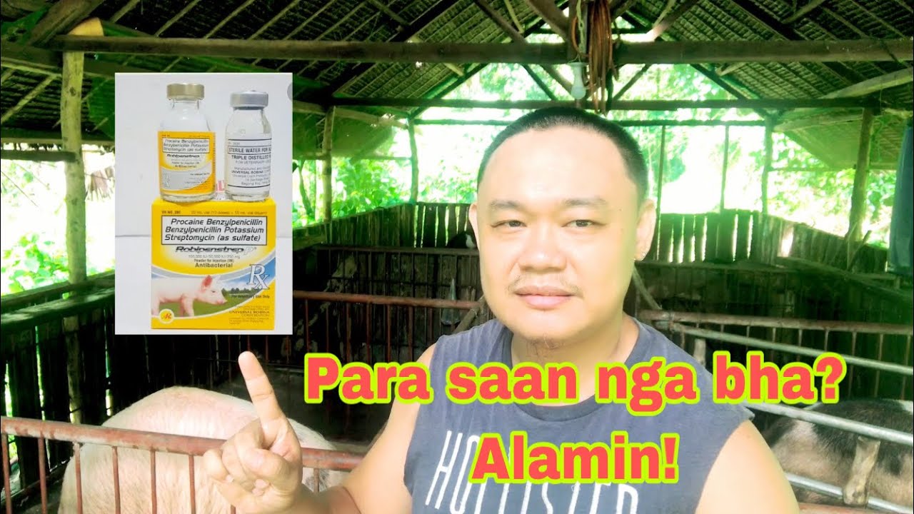 Para saan ang robipenstrep o penstrep | robipenstrep | penstrep | Ryan ...