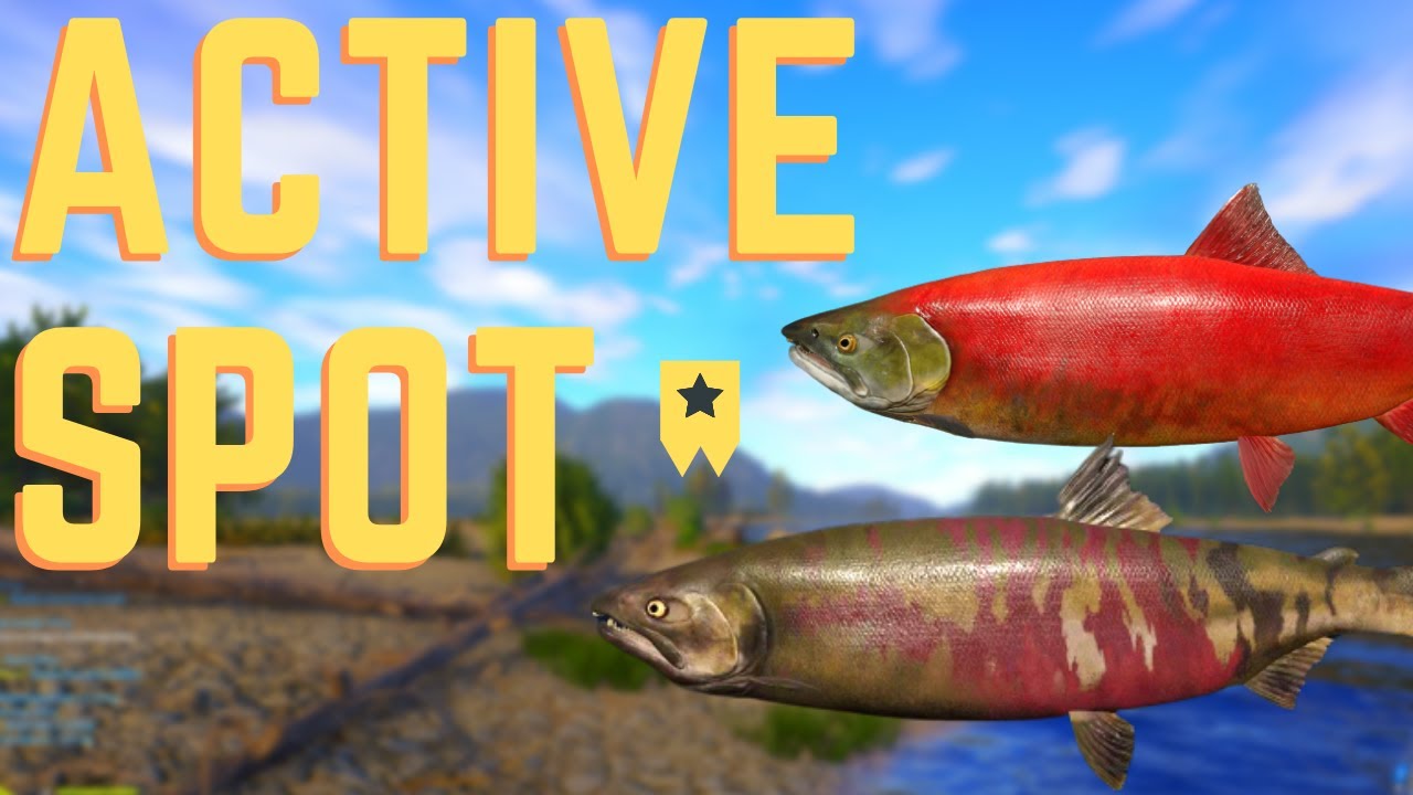 Chum Trophy | Active Spot | Yama | Sharp Snouted Lenok | Russian ...