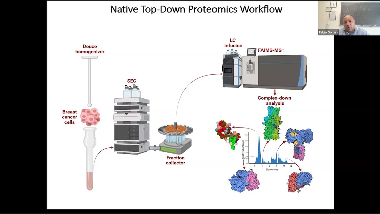 Fabio Gomes: Native Top Down Characterization of Proteoforms and Complexoforms in Breast Cancer ...