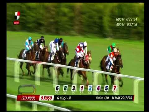 2017 DİŞİ TAY DENEME KOŞUSU (G1) MISS HELİN / AHMET ÇELİK - 1.600M ÇİM