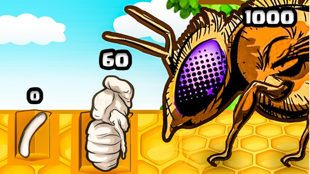 Growing a Wasp to MAX LEVEL - YouTube