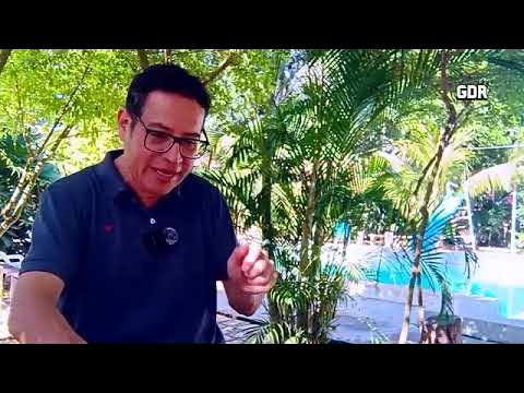 GRACIAS BILLY HIDALGO POR LA ENTREVISTA PARA GDR - YouTube
