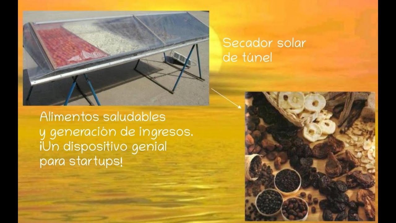 Español Secador solar de túnel. Alimentos saludables y generación de ...