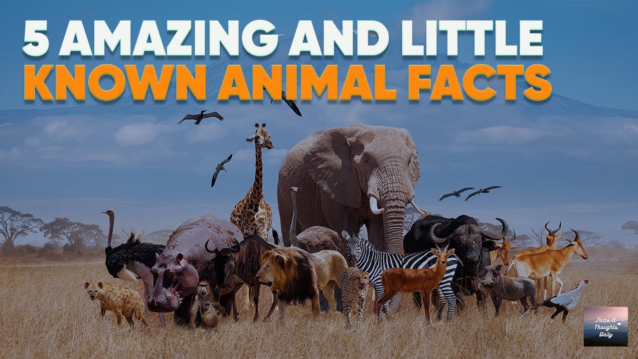 5 Amazing and Little-Known Animal Facts That Will Blow Your Mind! # ...