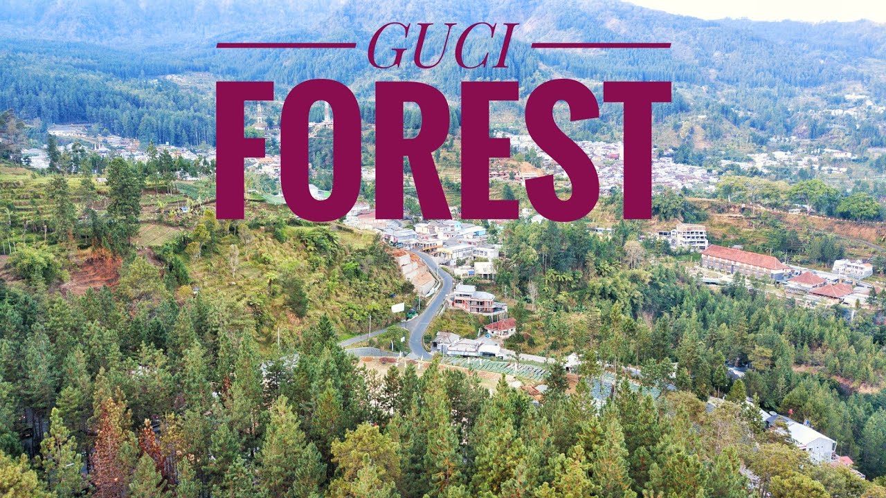 GUCI FOREST - MENIKMATI ALAM LERENG GUNUNG SLAMET - YouTube