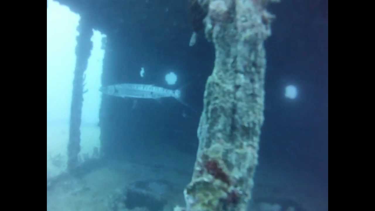 Adolphus Busch Wreck Dive 1 Florida Keys - YouTube
