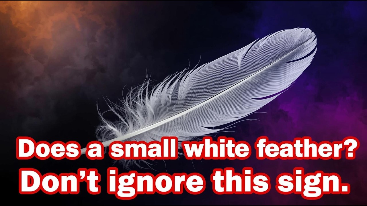 Small White Feather Appearing? Don't Ignore This Sign - YouTube