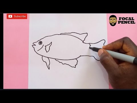 How To Draw A Damsel Fish Step by step - YouTube