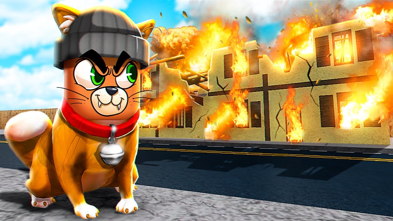 Roblox Bad Cat - YouTube