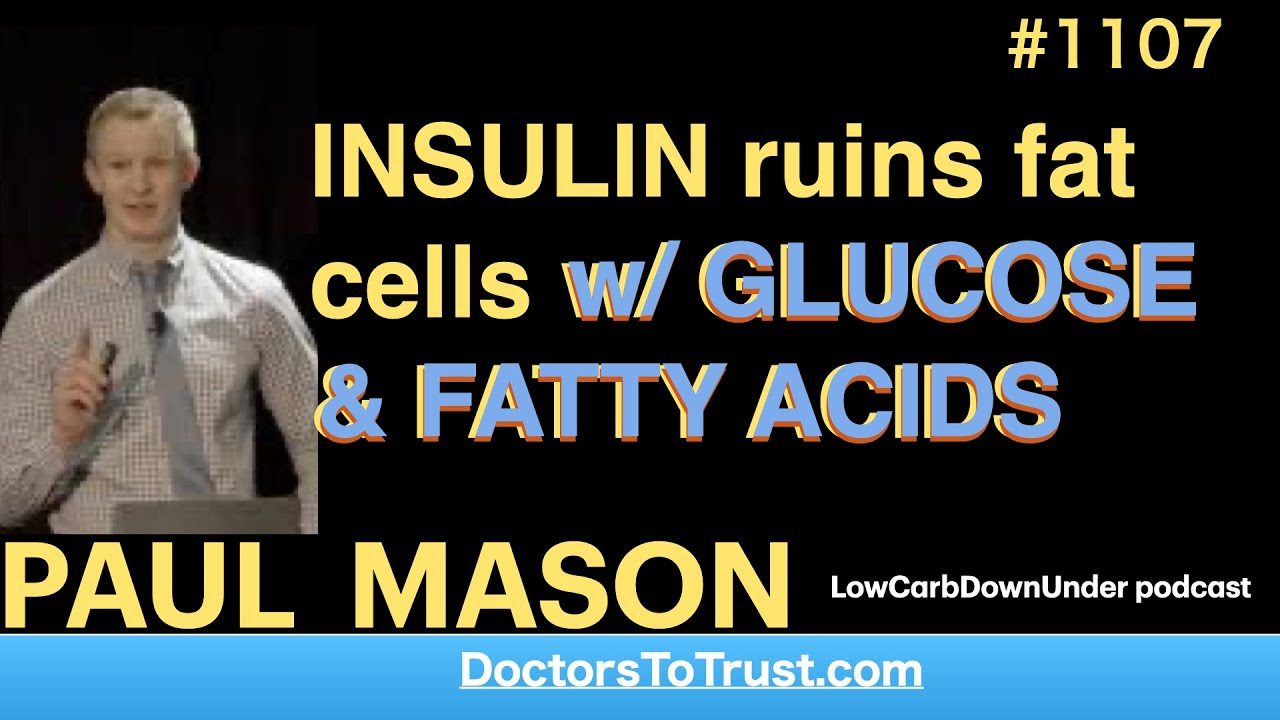 PAUL MASON a: | INSULIN ruins fat cells w/ GLUCOSE & FATTY ACIDS ...