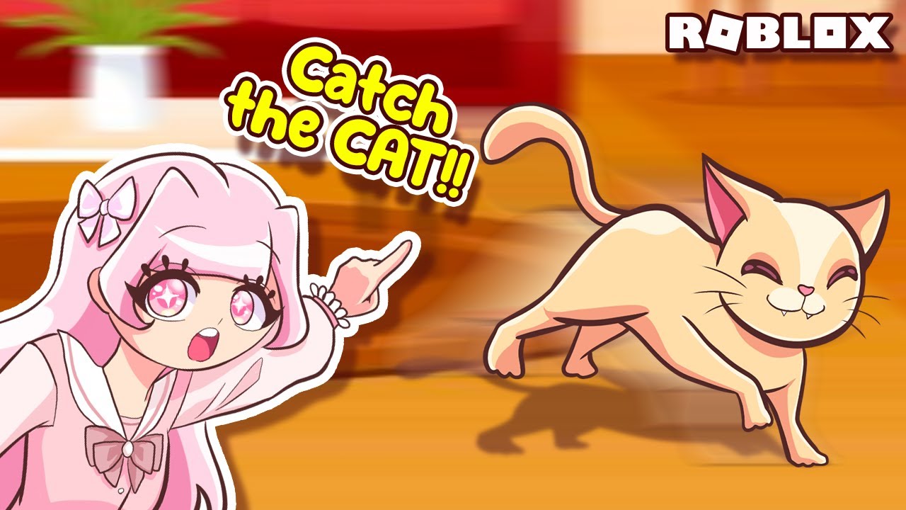 Catch The Cat!!! | Roblox | Catch The Cat - YouTube