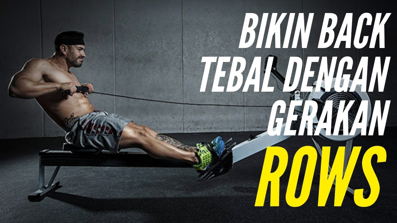 TIPS BIKIN BACK TEBAL DENGAN GERAKAN ROWS! - YouTube