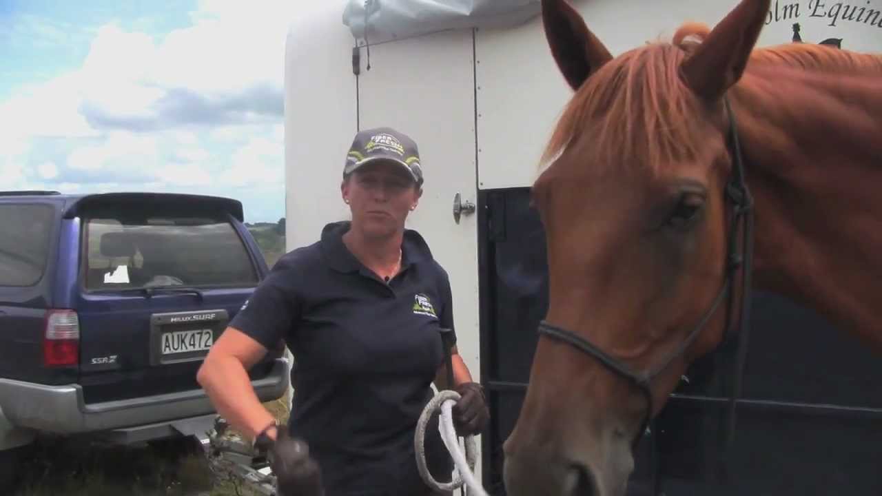 Fiber Fresh Feeds Equine TV: EP 46 - Float Training - YouTube