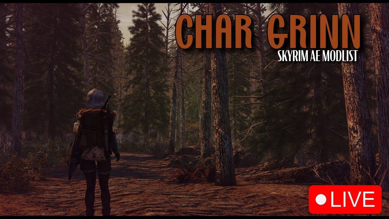Skyrim AE | CHAR GRINN ADVENTURNING | 1700 mods + RTGI #2 - YouTube