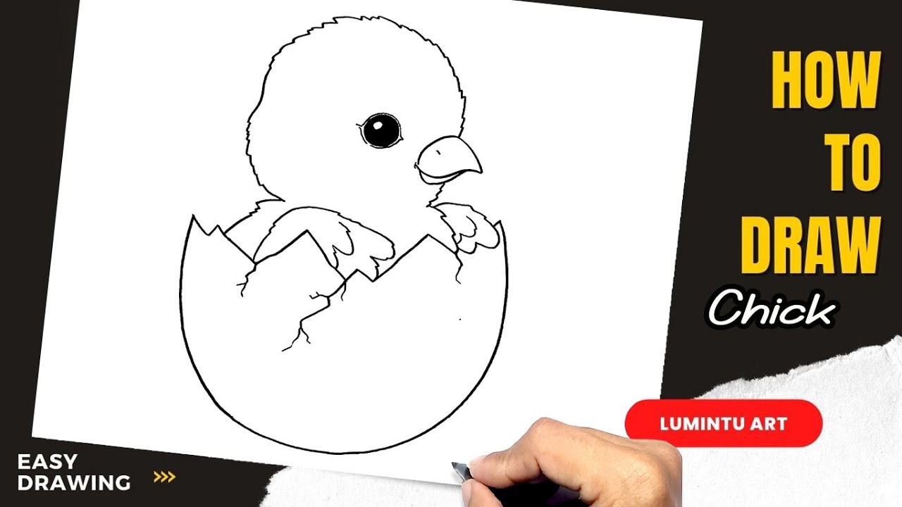 How to draw Chick - YouTube