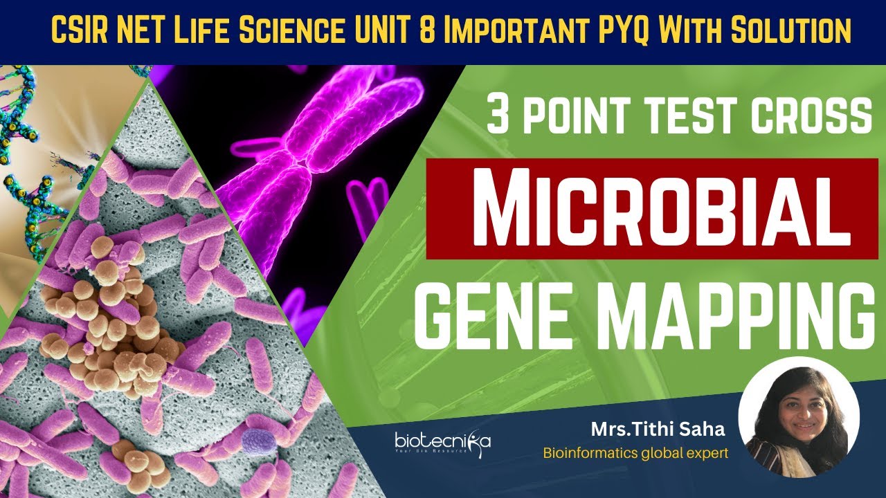 3 Point Test Cross | Microbial Gene Mapping - CSIR NET Life Science ...