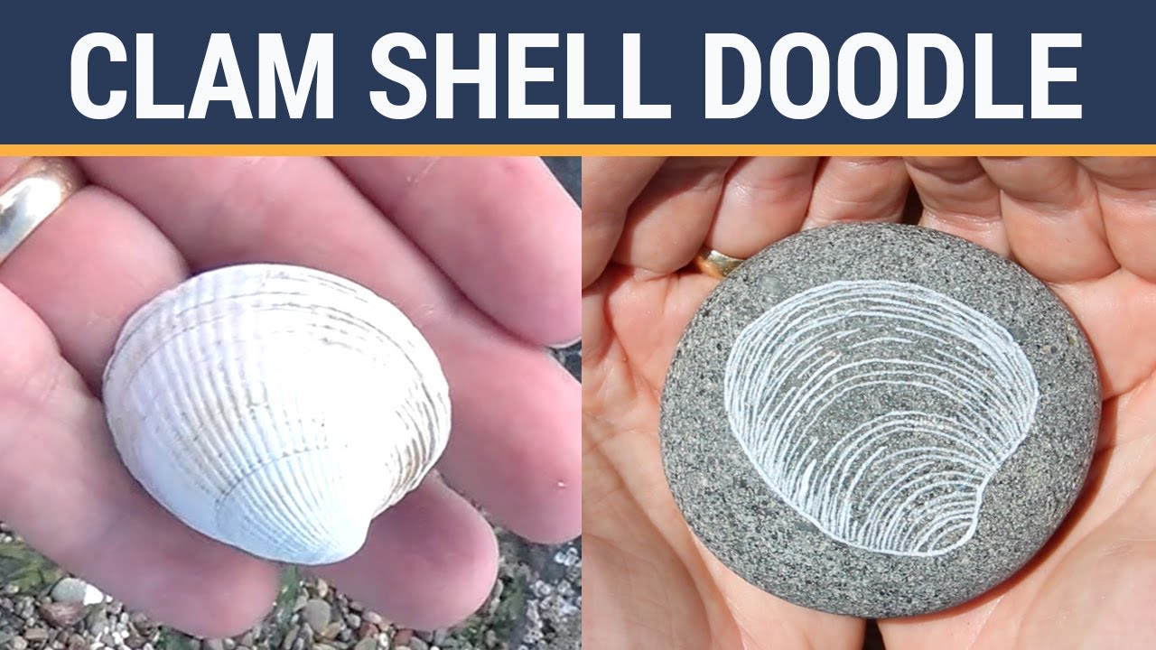 Drawing A Clam Shell Doodle - YouTube