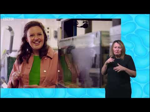 CBeebies | Sign Zone: Ferne and Rory Teeny Tiny Creatures - S01 Episode ...