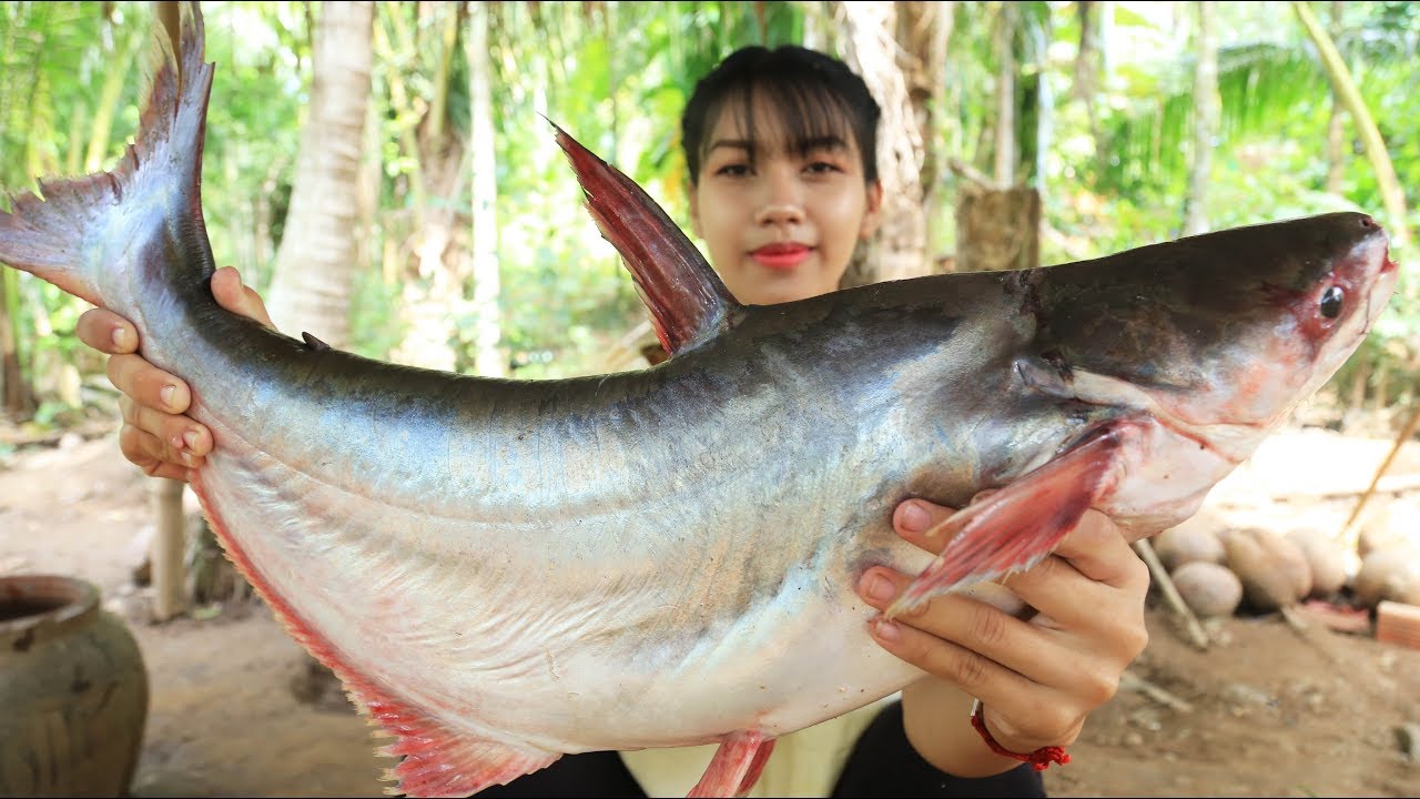 Yummy cooking big fish recipe - Cooking skill - YouTube