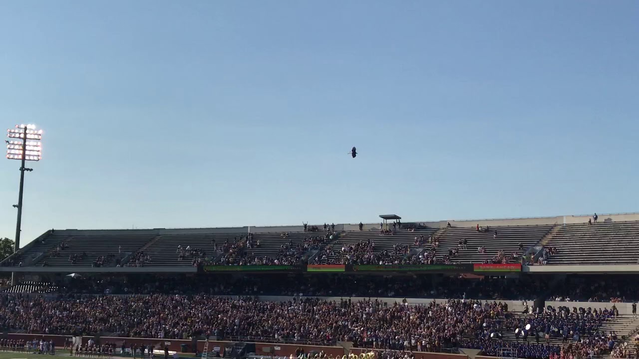 Georgia Southern Eagles Freedom’s Flight - YouTube