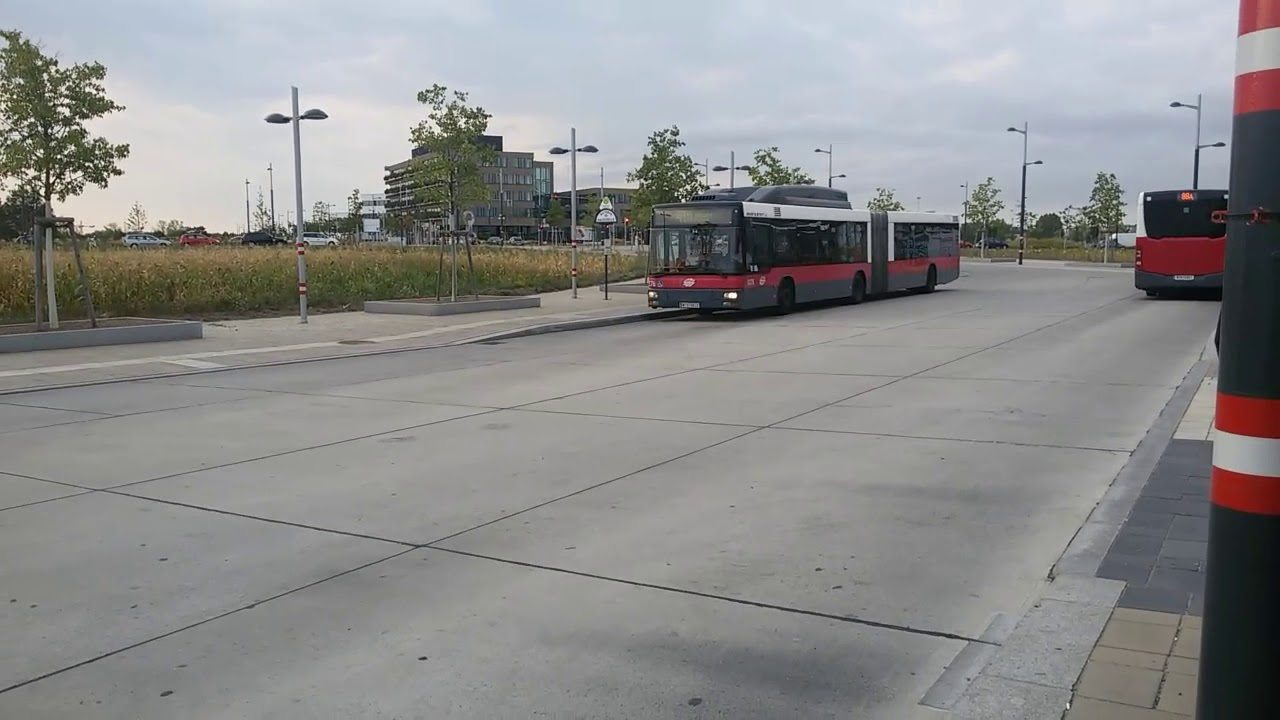 Autobus Linie 84A Seestadt in Wien(1) - YouTube