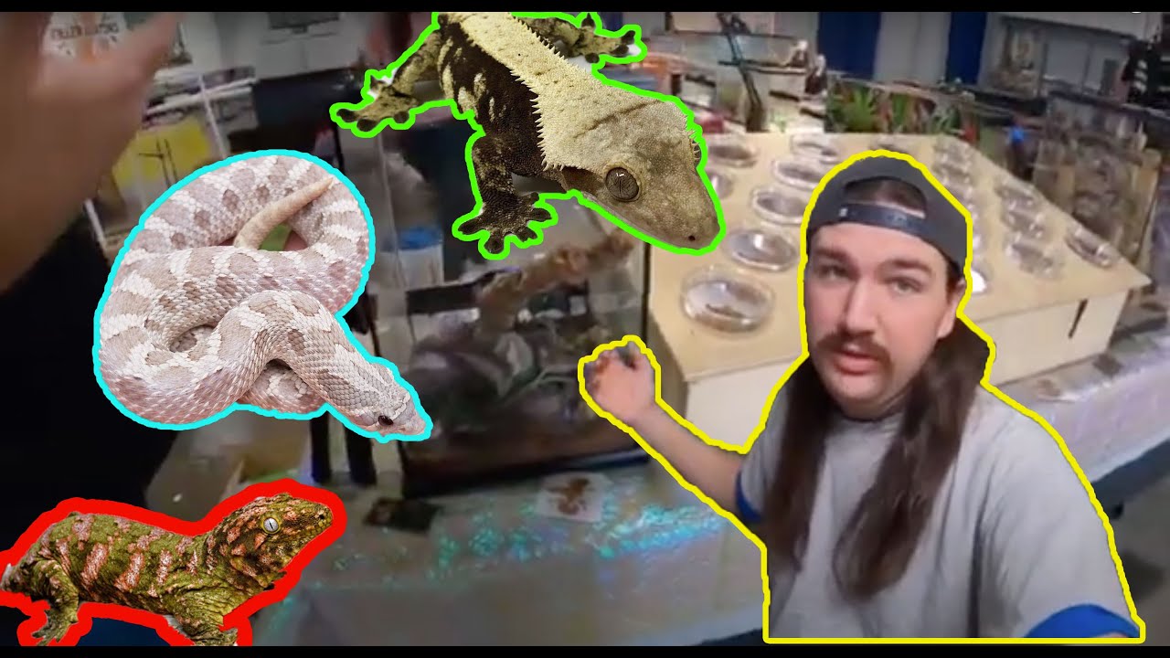 Chico Reptile Expo!!! - YouTube