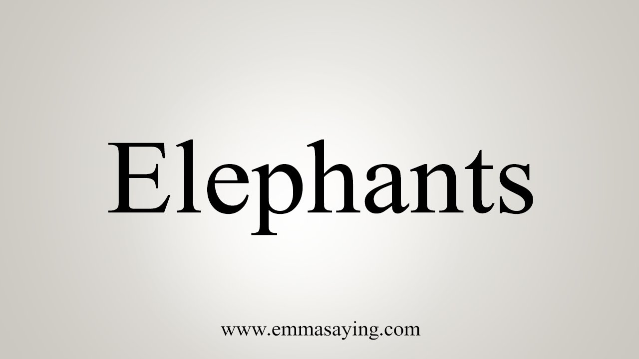 How To Say Elephants - YouTube