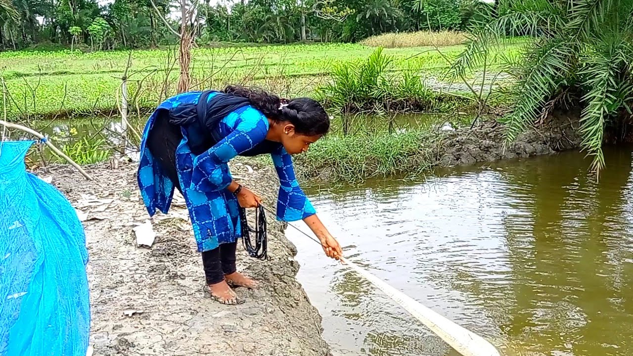 সুন্দরী মেয়ে জাল দিয়ে বাগদা চিংড়ি ধরলো দেখুন | Beautiful Girl ...