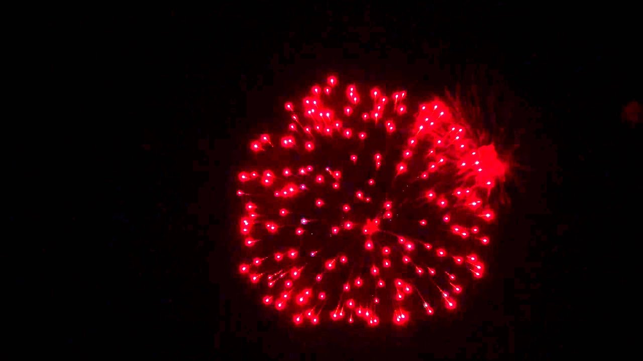 5" Golden belt to red with blue pistil - TROPIC Fireworks, Fajerwerki ...