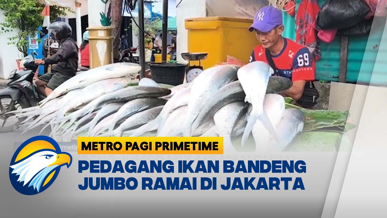 Pedagang Musiman Jual Ikan Bandeng Jumbo di Rawa Belong, Jakarta Barat ...
