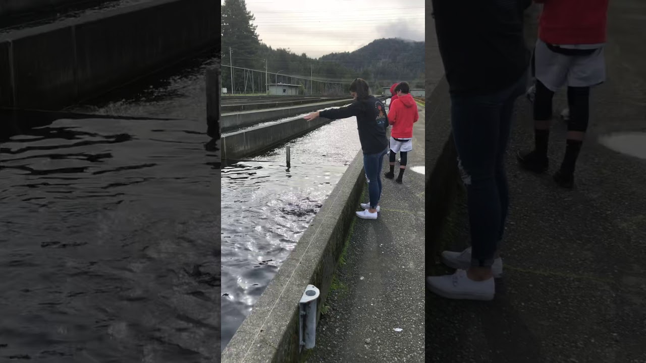 Blue Lake fish hatchery with the fam - YouTube