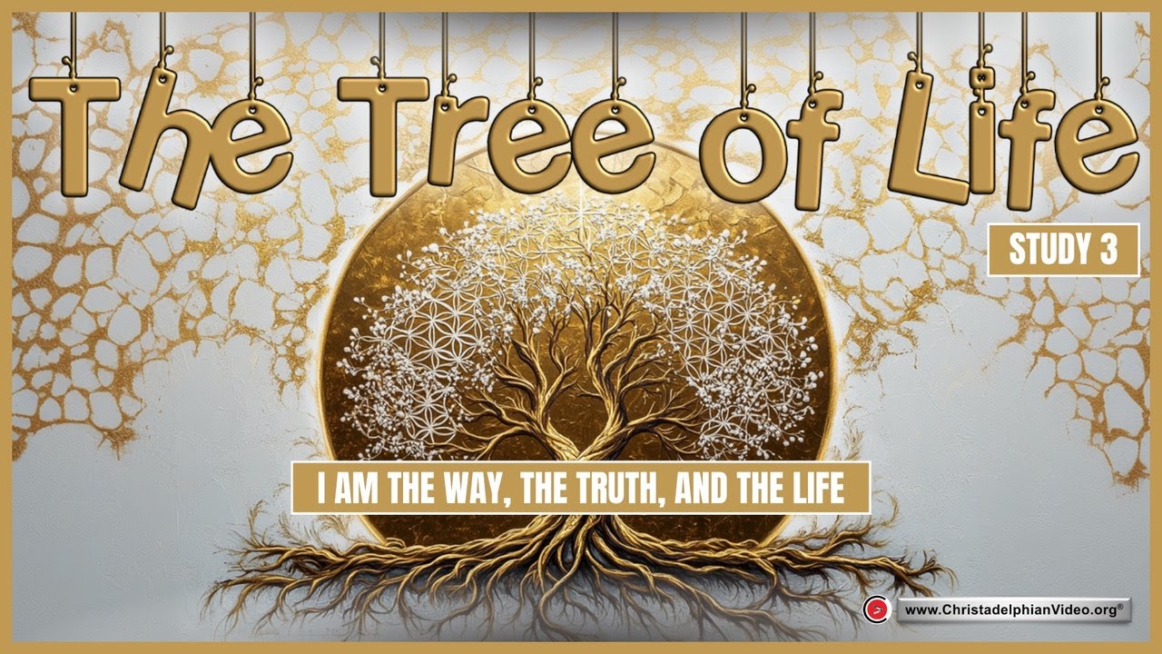 The Tree of Life #3 ''I am the way, the truth, and the life' - YouTube